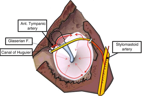 Middle Ear Cavity | SpringerLink