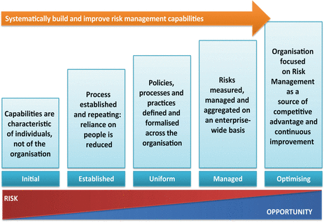 Operational Governance | SpringerLink