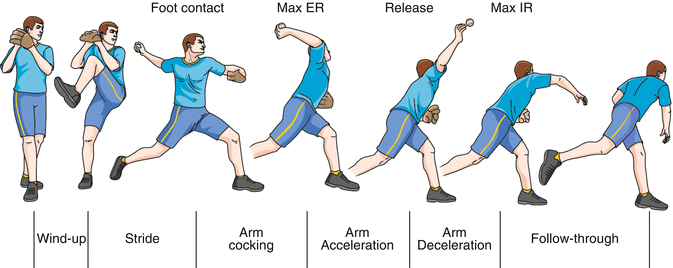 Biomechanics of the Shoulder: Stability and Kinematics of Shoulder ...