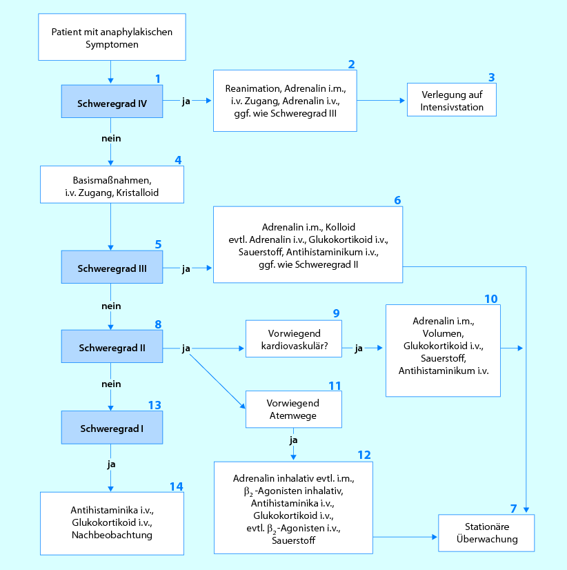 Allergische Erkrankungen | SpringerLink