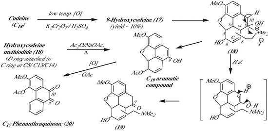 Morphine. Codeine. Thebaine: Modified Benzyltetrahydroisoquinoline ...