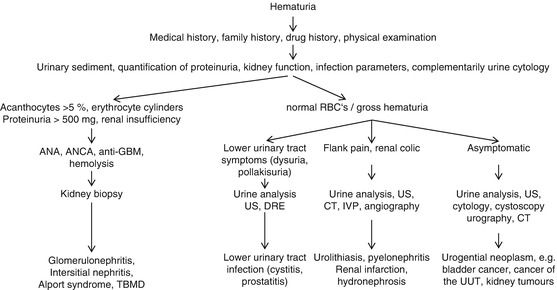 Haematuria | SpringerLink