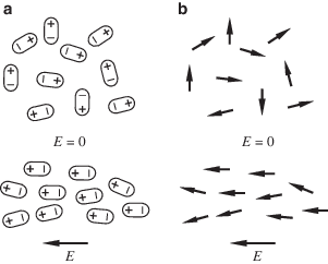 Dielektrische Eigenschaften | SpringerLink