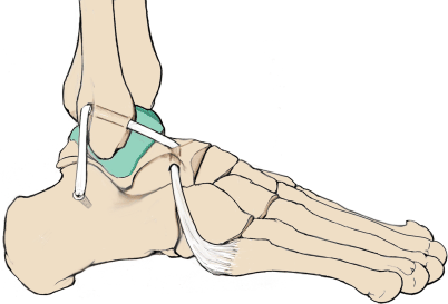 Instability | SpringerLink