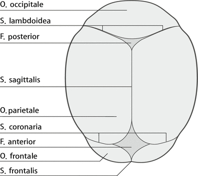 Normale Geburt | SpringerLink