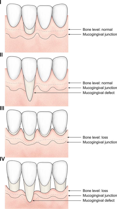 Patient Examination and Assessment | SpringerLink