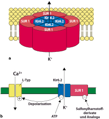 Antidiabetika | SpringerLink