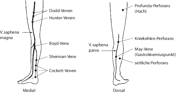 Periphere Venen | SpringerLink