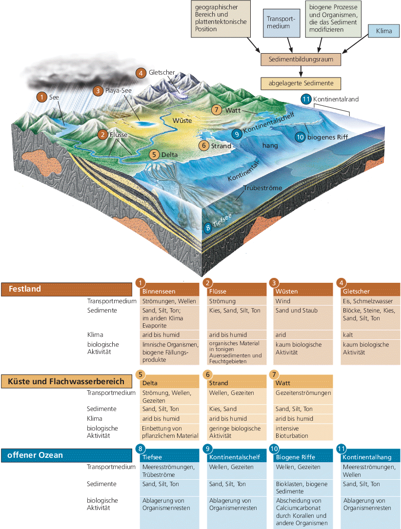 Sedimente und Sedimentgesteine | SpringerLink