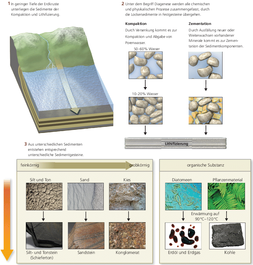 Sedimente und Sedimentgesteine | SpringerLink