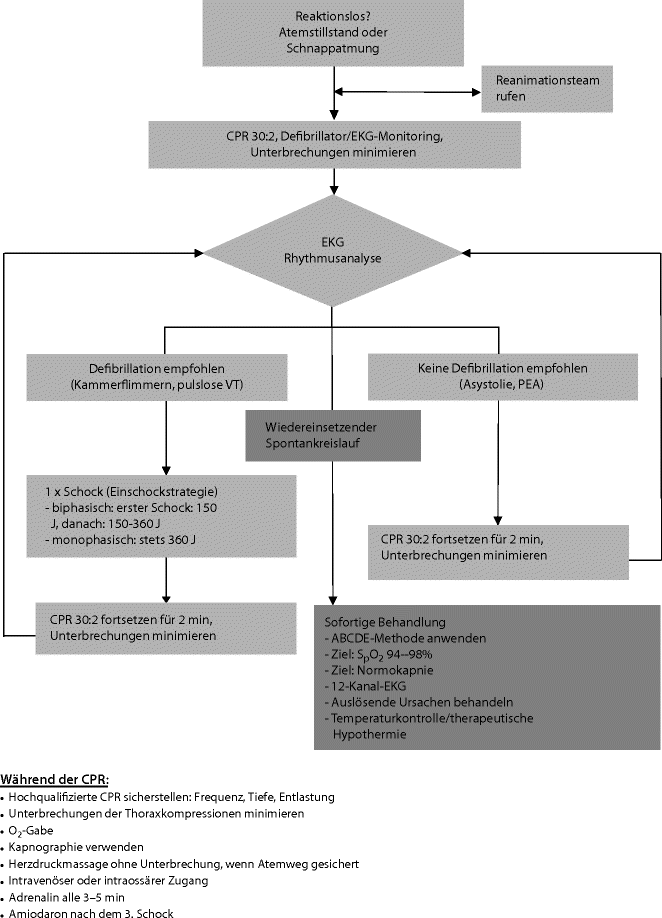 Kardiopulmonale Reanimation | SpringerLink