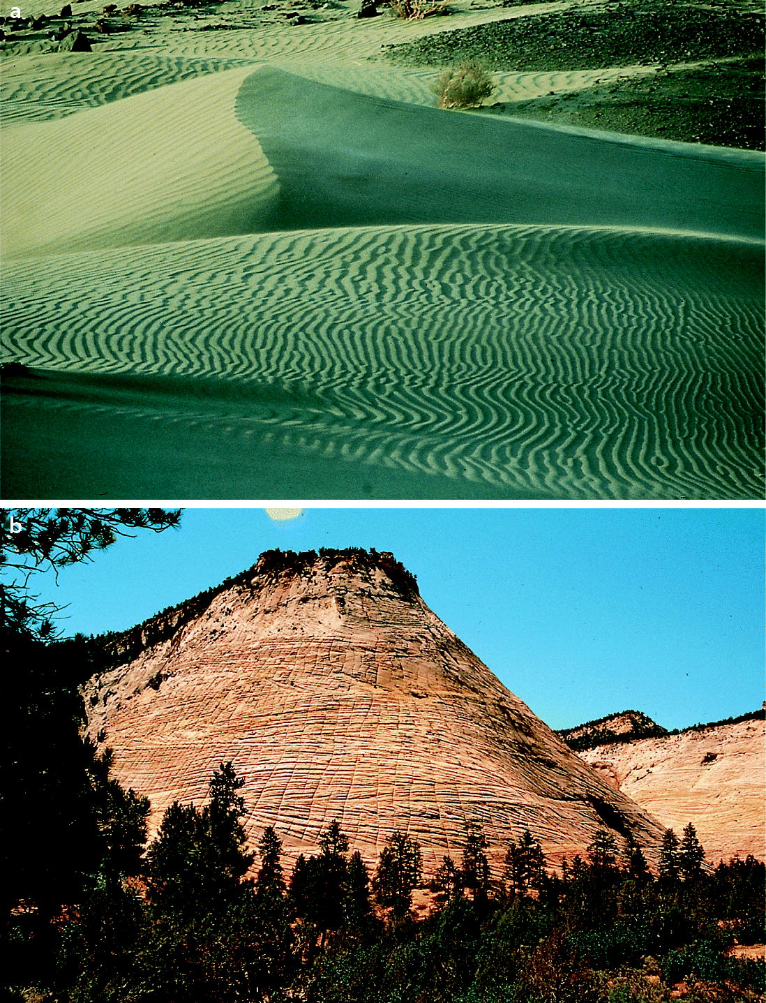 Abtragung, Transport und Ablagerung | SpringerLink