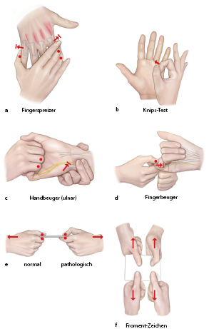 Hand | SpringerLink