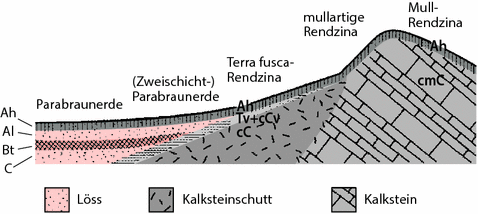 Bodenentwicklung und Bodensystematik | SpringerLink
