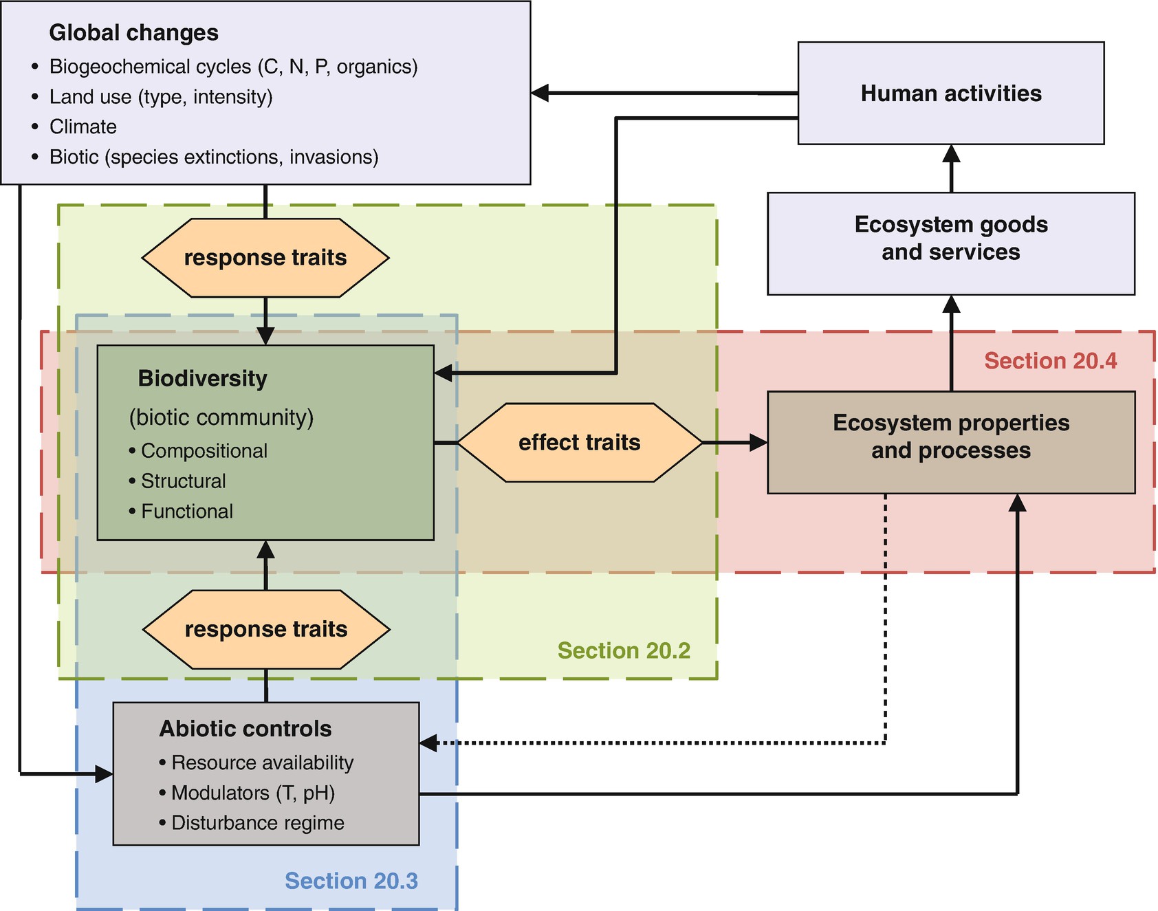 Biodiversity | SpringerLink