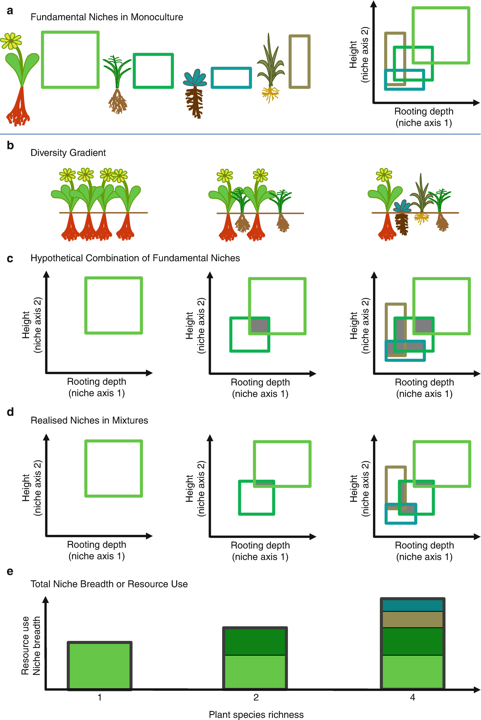 Biodiversity | SpringerLink