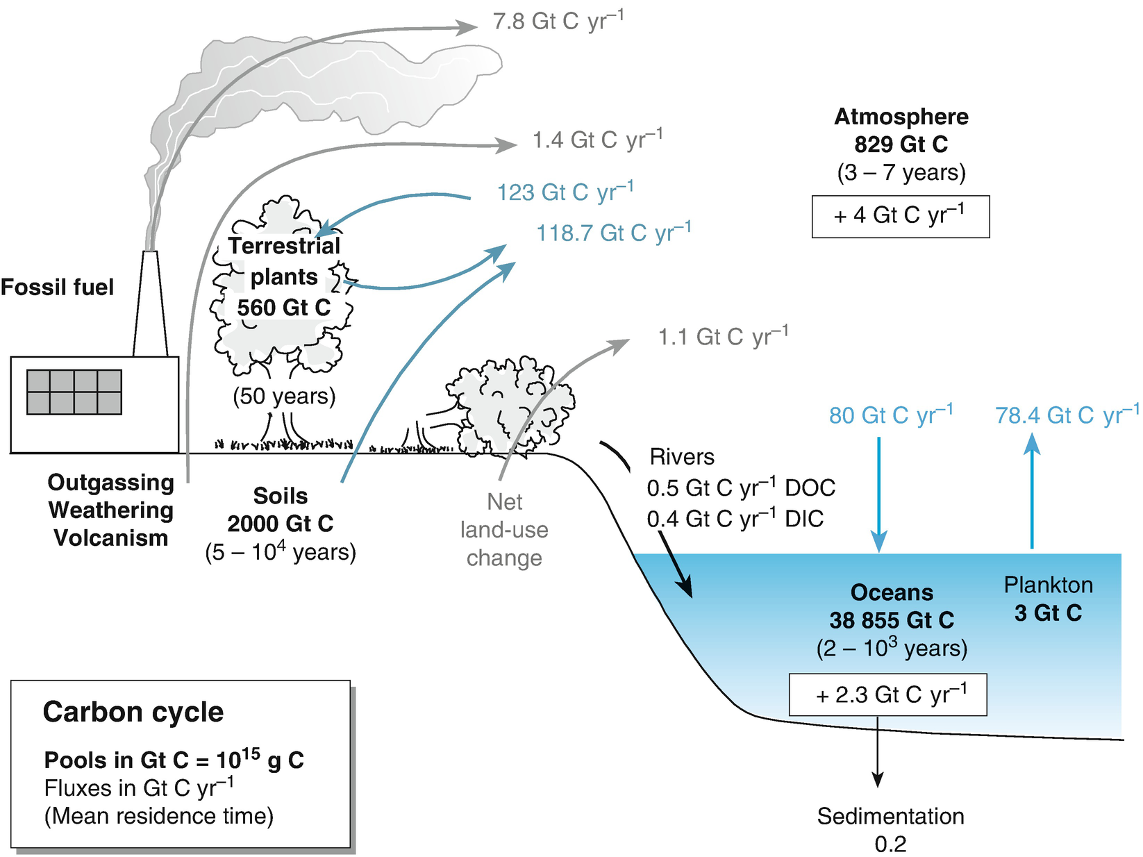Global Biogeochemical Cycles | SpringerLink