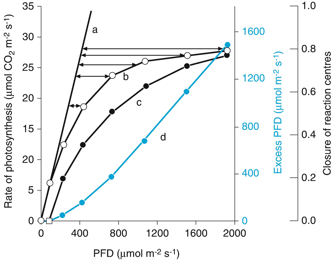 Light | SpringerLink
