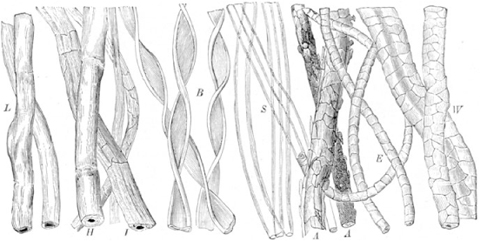 Haare und Fasern | SpringerLink