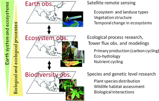 Linking Remote Sensing and In Situ Ecosystem/Biodiversity Observations ...