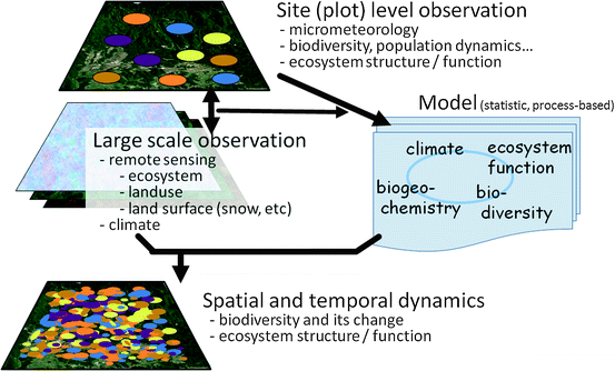 Linking Remote Sensing and In Situ Ecosystem/Biodiversity Observations ...