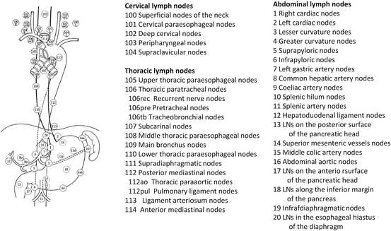 Stage Classifications: The UICC/AJCC Classifications and the Japanese ...
