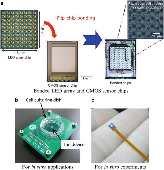 CMOS-Based Neural Interface Device for Optogenetics | SpringerLink