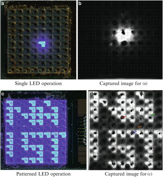 CMOS-Based Neural Interface Device for Optogenetics | SpringerLink