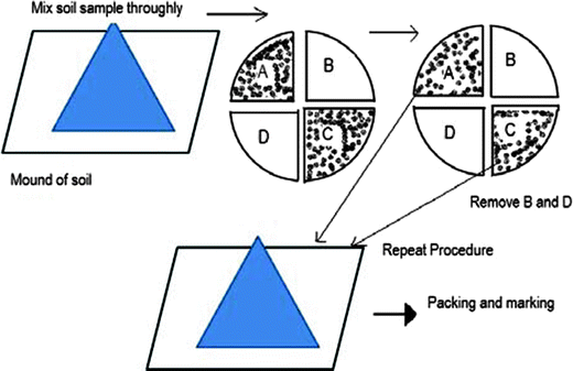 Soil Sampling Techniques | SpringerLink