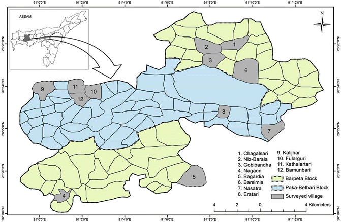 Living with Wetlands: A Case Study from the Wetlands ( Beels) of ...