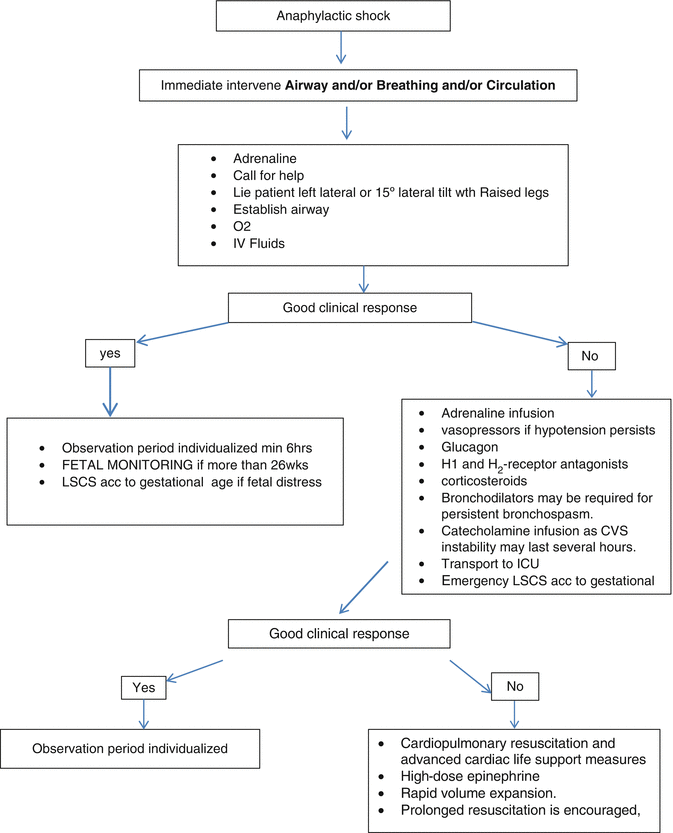 Anaphylactic Shock in a Pregnant Woman | SpringerLink