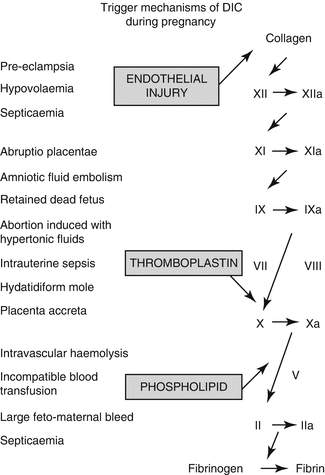 Disseminated Intravascular Coagulation (DIC) and Thrombocytopenia in ...