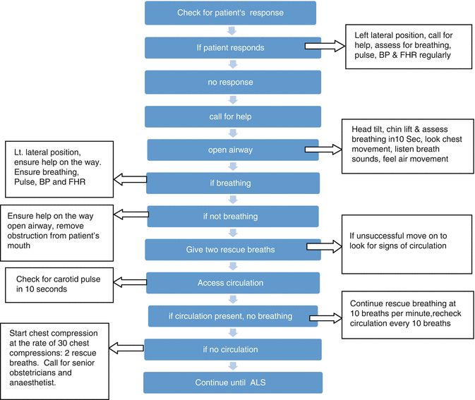 Cardiopulmonary Resuscitation in the Pregnant Woman | SpringerLink