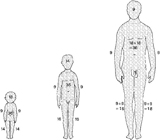 15 Dermatologische spoedgevallen | SpringerLink
