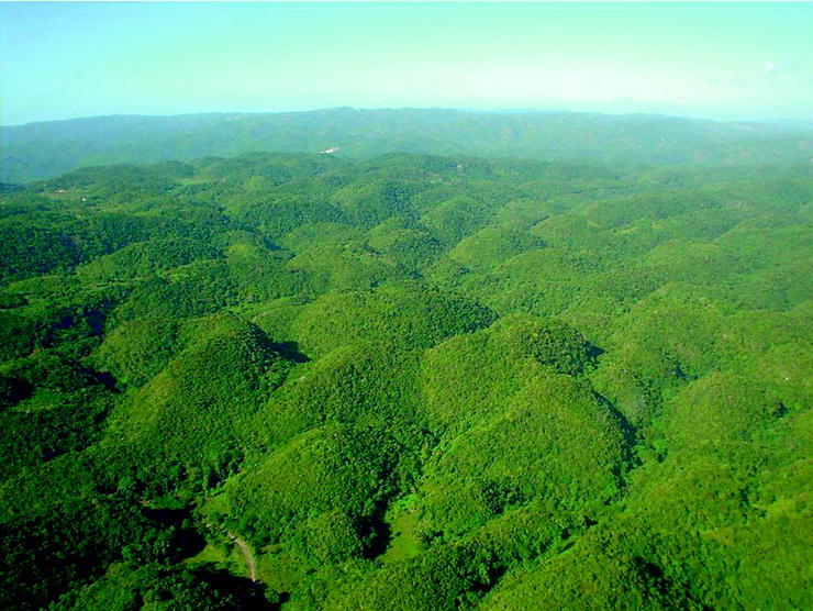 The Cockpit Country of Jamaica: An Island Within an Island | SpringerLink