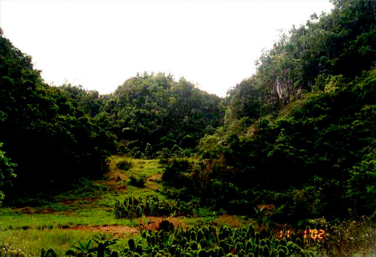 The Cockpit Country of Jamaica: An Island Within an Island | SpringerLink