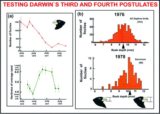 Darwin’s Theory of Evolution | SpringerLink