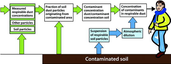 Human Exposure Pathways | SpringerLink