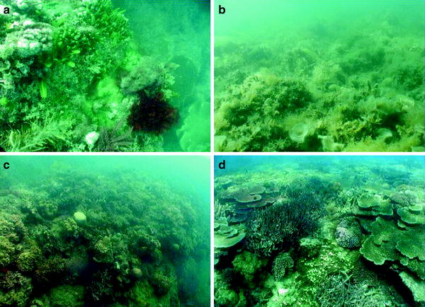 Factors Determining the Resilience of Coral Reefs to Eutrophication: A ...