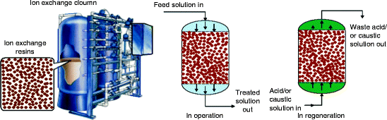 Introduction to Ion Exchange Processes | SpringerLink