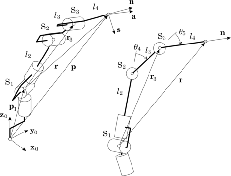 Kinematic Model of the Human Hand | SpringerLink