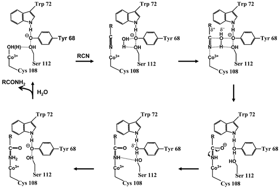Cobalt and Corrinoid Transport and Biochemistry | SpringerLink