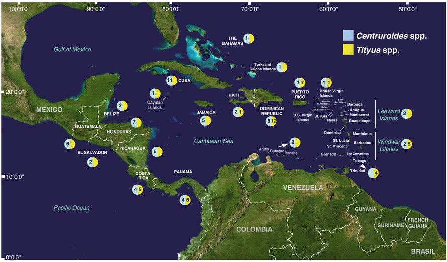 Scorpionism and Dangerous Scorpions in Central America and the ...