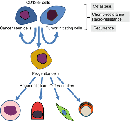 CD133 as Biomarker in Breast Cancer | SpringerLink