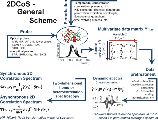 Two-Dimensional Mid-Infrared Correlation Spectroscopy in Protein Research | SpringerLink