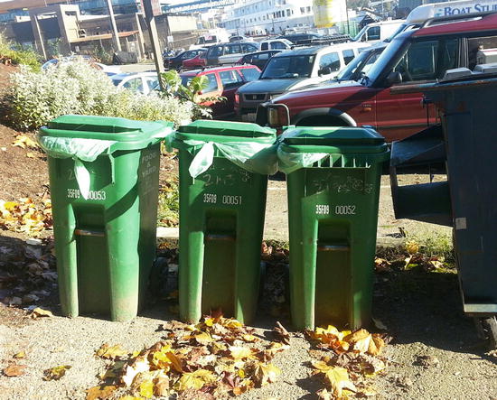 Food Waste Composting in Seattle: The Political Perspective | SpringerLink