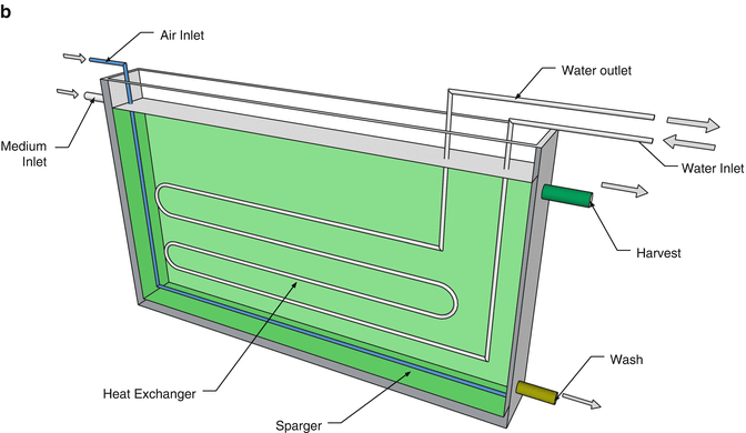 Photobioreactors Design for Hydrogen Production | SpringerLink