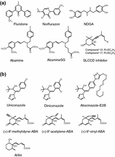 ABA Biosynthetic and Catabolic Pathways | SpringerLink