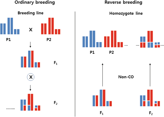 Plant Transformation Methods and Applications | SpringerLink