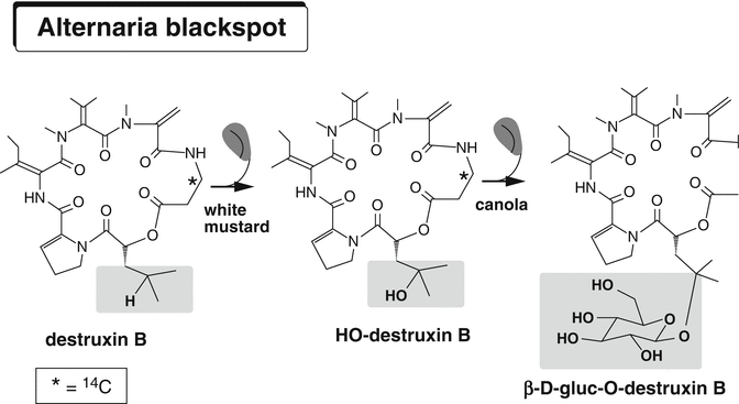 Phytotoxins | SpringerLink